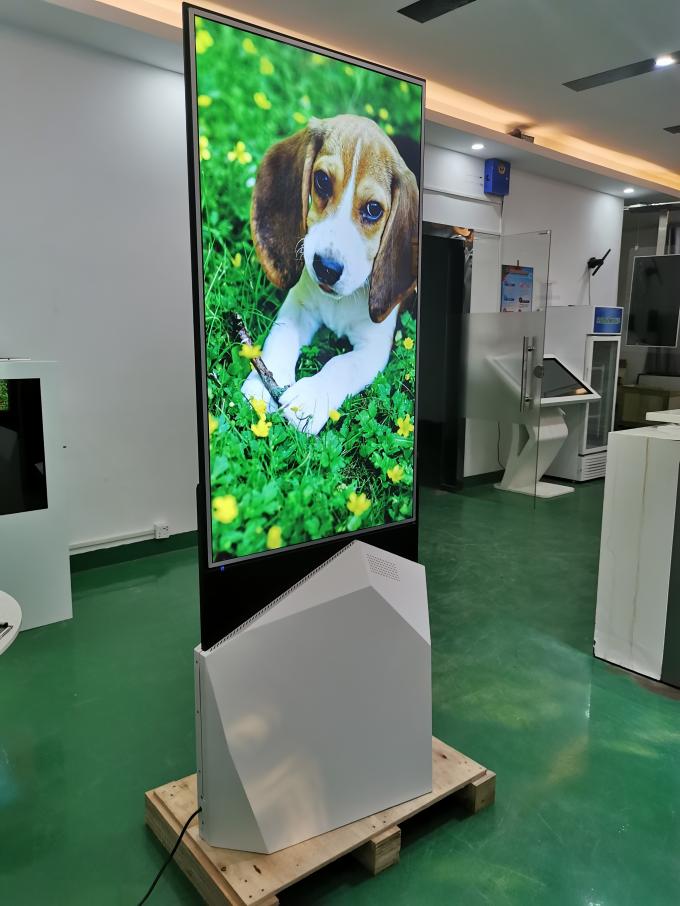 55 65 75 Inch Commercial Display OLED Video Wall Curved Flexible Screen